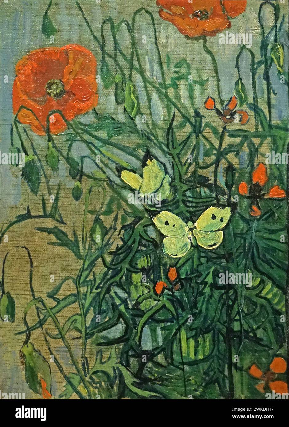 Butterflies and Poppies (1890) by Vincent van Gogh (1853-1890 Stock ...