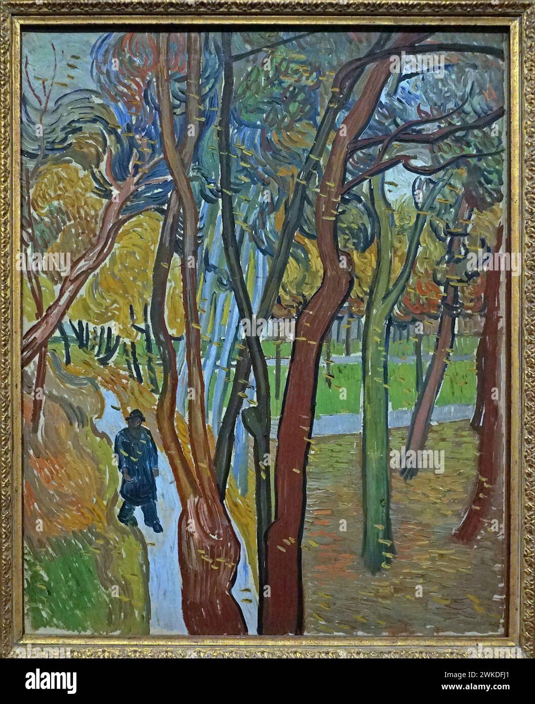 The Garden of Saint Paul's Hospital (1889) by Vincent van Gogh (1853 ...
