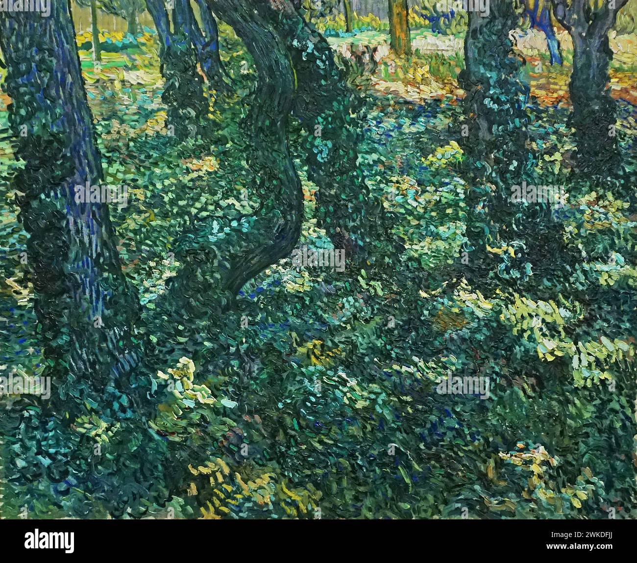 1889 vincent van gogh hi-res stock photography and images - Alamy