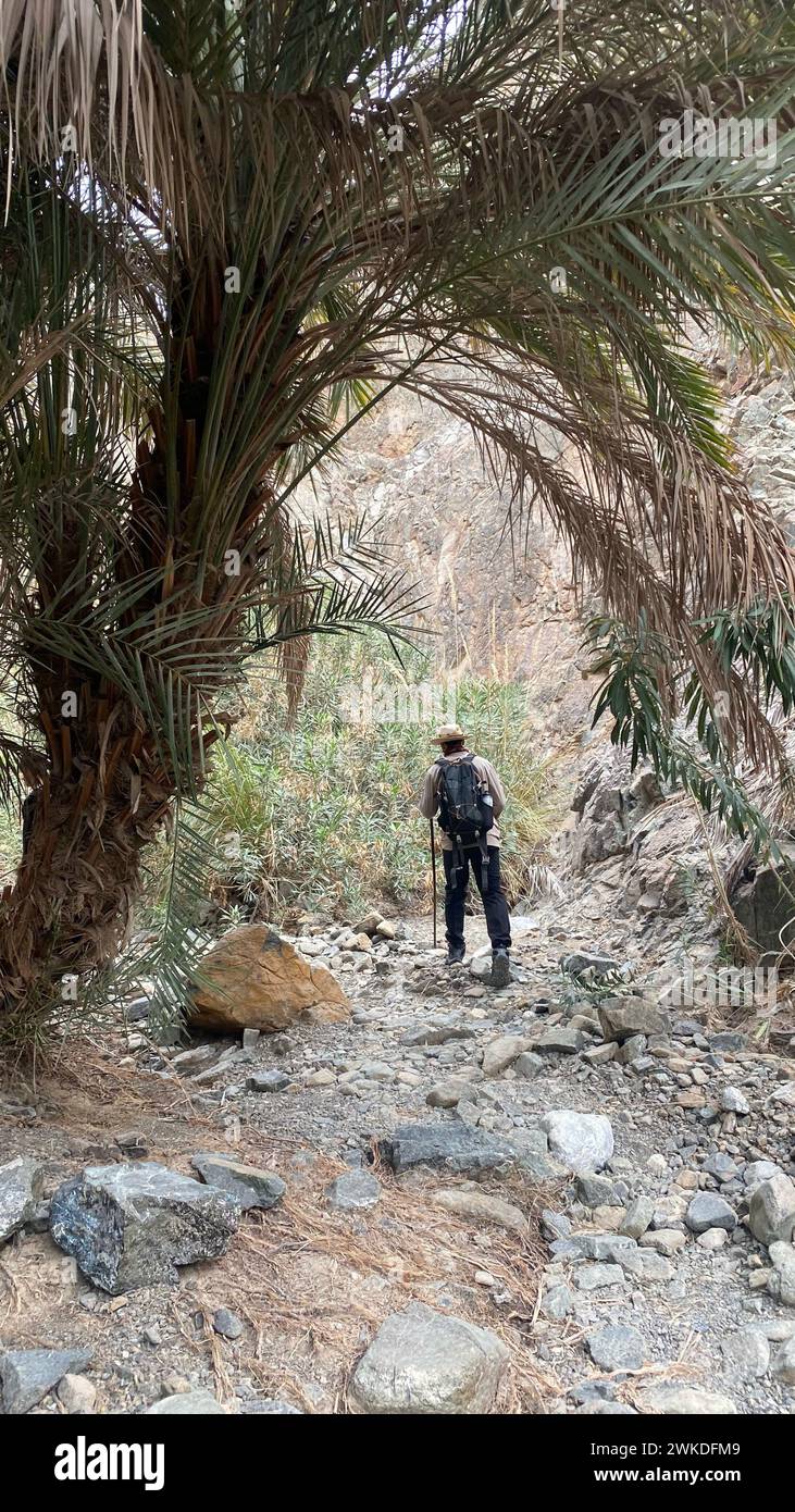 A person strolling along a tree-lined trail Stock Photo - Alamy