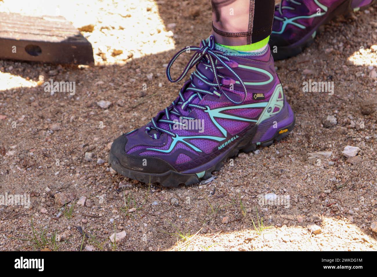 Purple merrel Women's hiking boot close up background . High quality ...