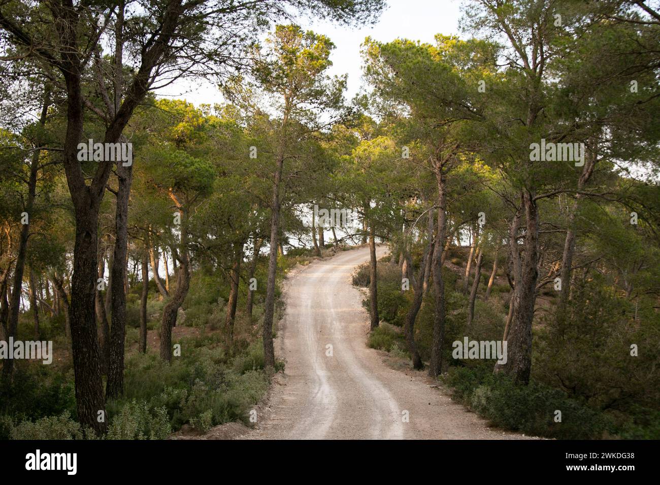 Views of the island of Ibiza from the Sa Talaia mountain in Sant Josep ...