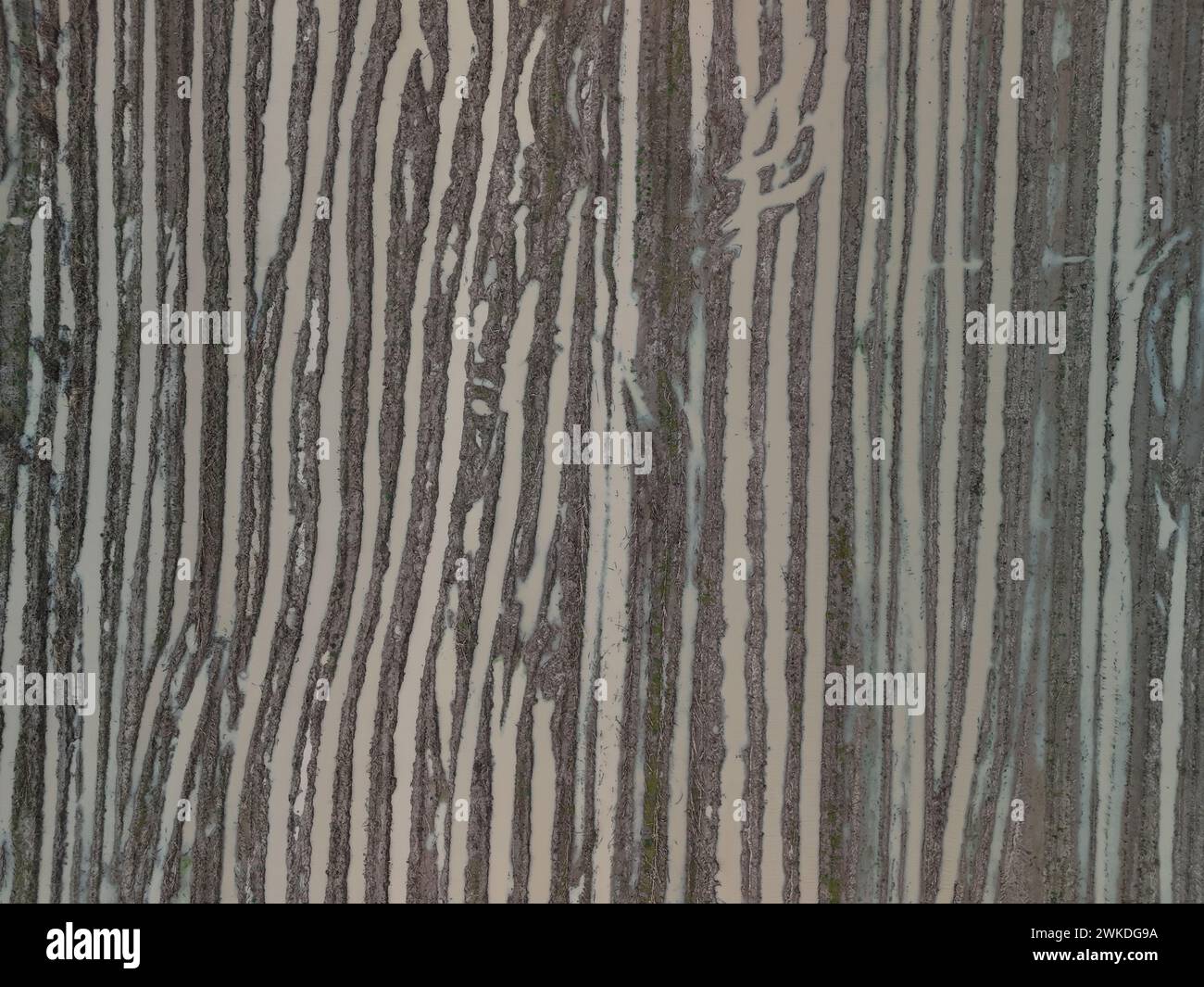 Weathered and grainy texture hi-res stock photography and images - Alamy