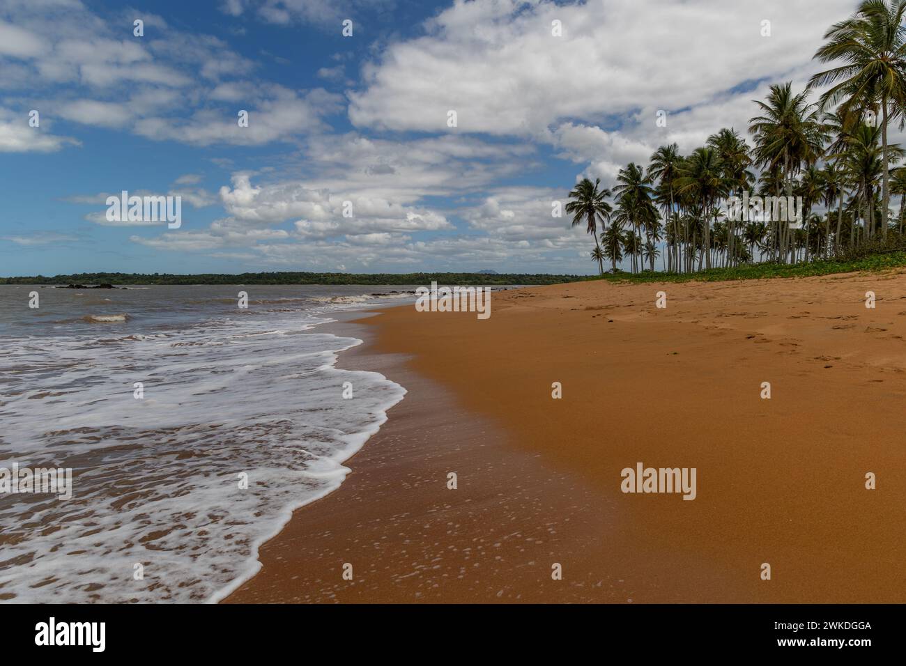 Shoreline sand water hitting hi-res stock photography and images - Alamy