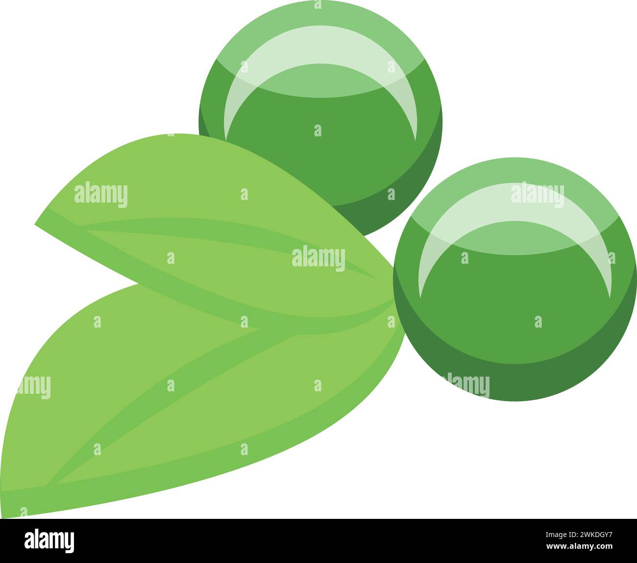 Green capsules icon isometric vector. Nutrition organic. Label vitamin ...
