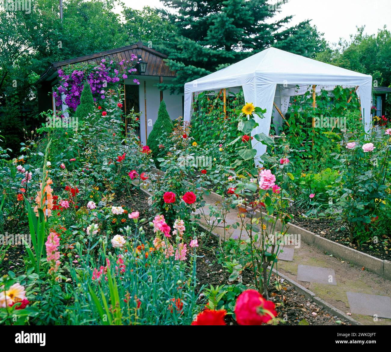 Bunter Blumenflor in einem Leipziger Kleingarten mit berankter Laube ...