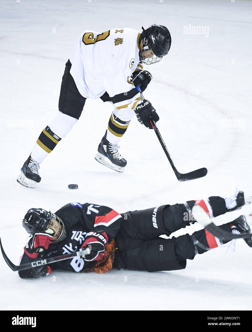 Hulun Buir, China's Inner Mongolia Autonomous Region. 20th Feb, 2024 ...