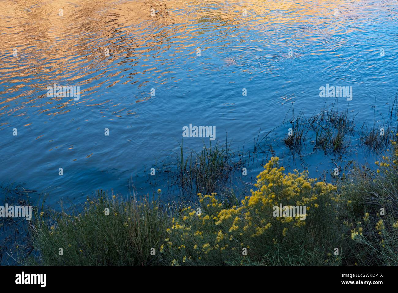 Chama river in new mexico hi-res stock photography and images - Alamy
