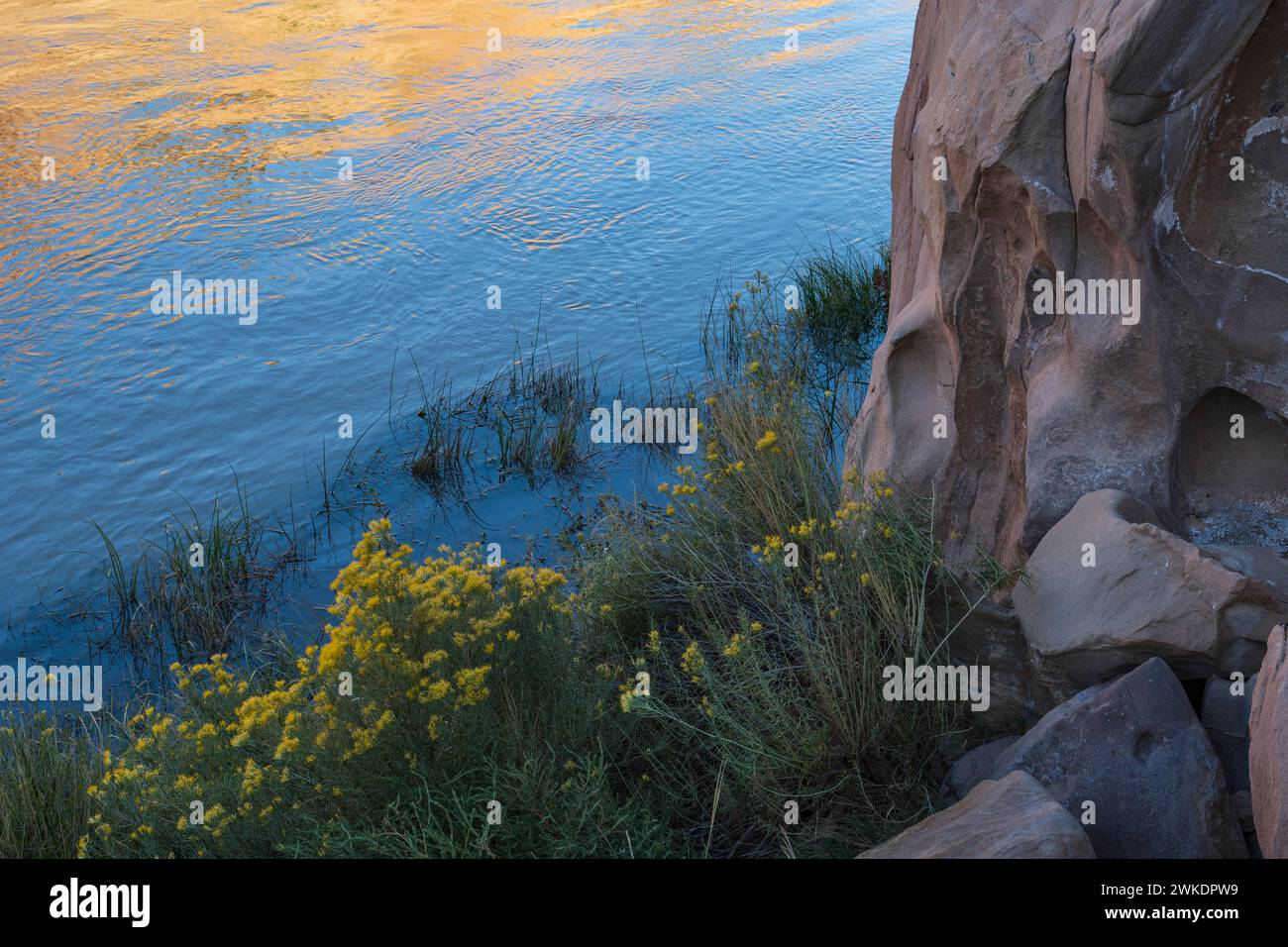 CHAMA RIVER REFLECTION, ABIQUIU, NM, USA Stock Photo - Alamy