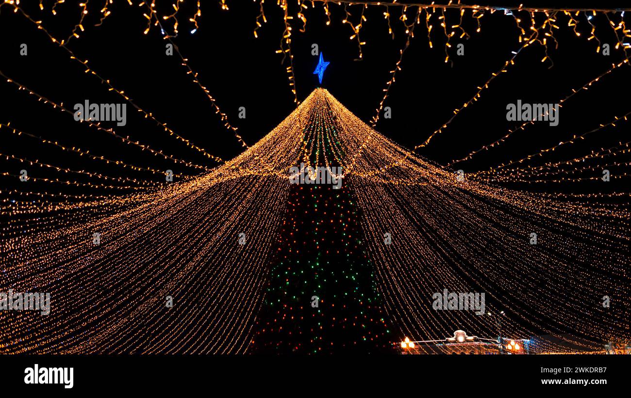 Amazing Christmas tree with lights at night. Magic and New Year card ...