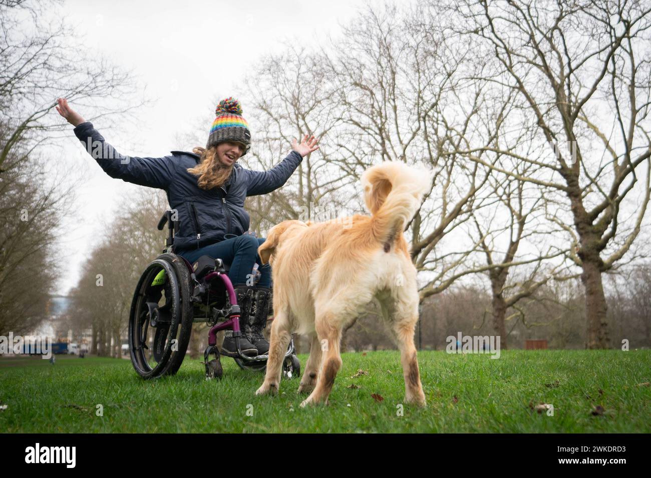 Finalist of the Crufts canine hero award golden retriever Phoebe with ...
