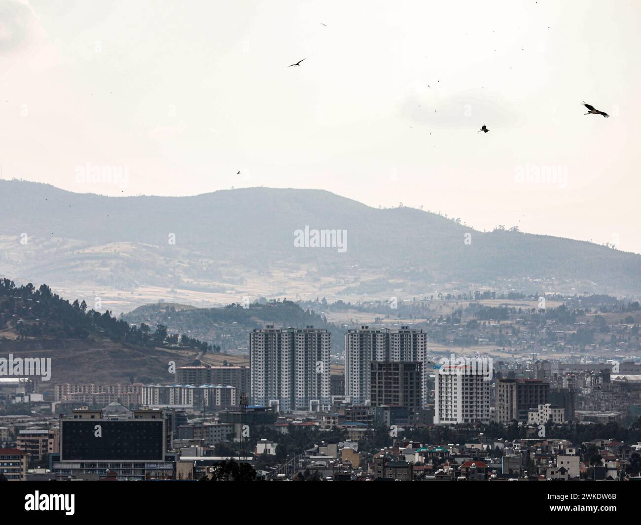 Addis Ababa. 13th Feb, 2024. This photo taken on Feb. 13, 2024 shows a ...