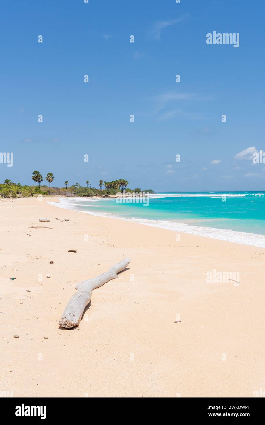 Beautiful View of Liman Beach Semau Island, East Nusa Tenggara ...