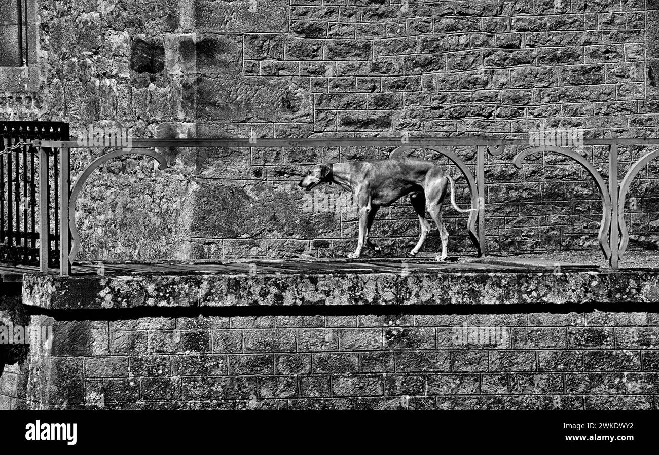 In front of it traditional houses Black and White Stock Photos & Images ...