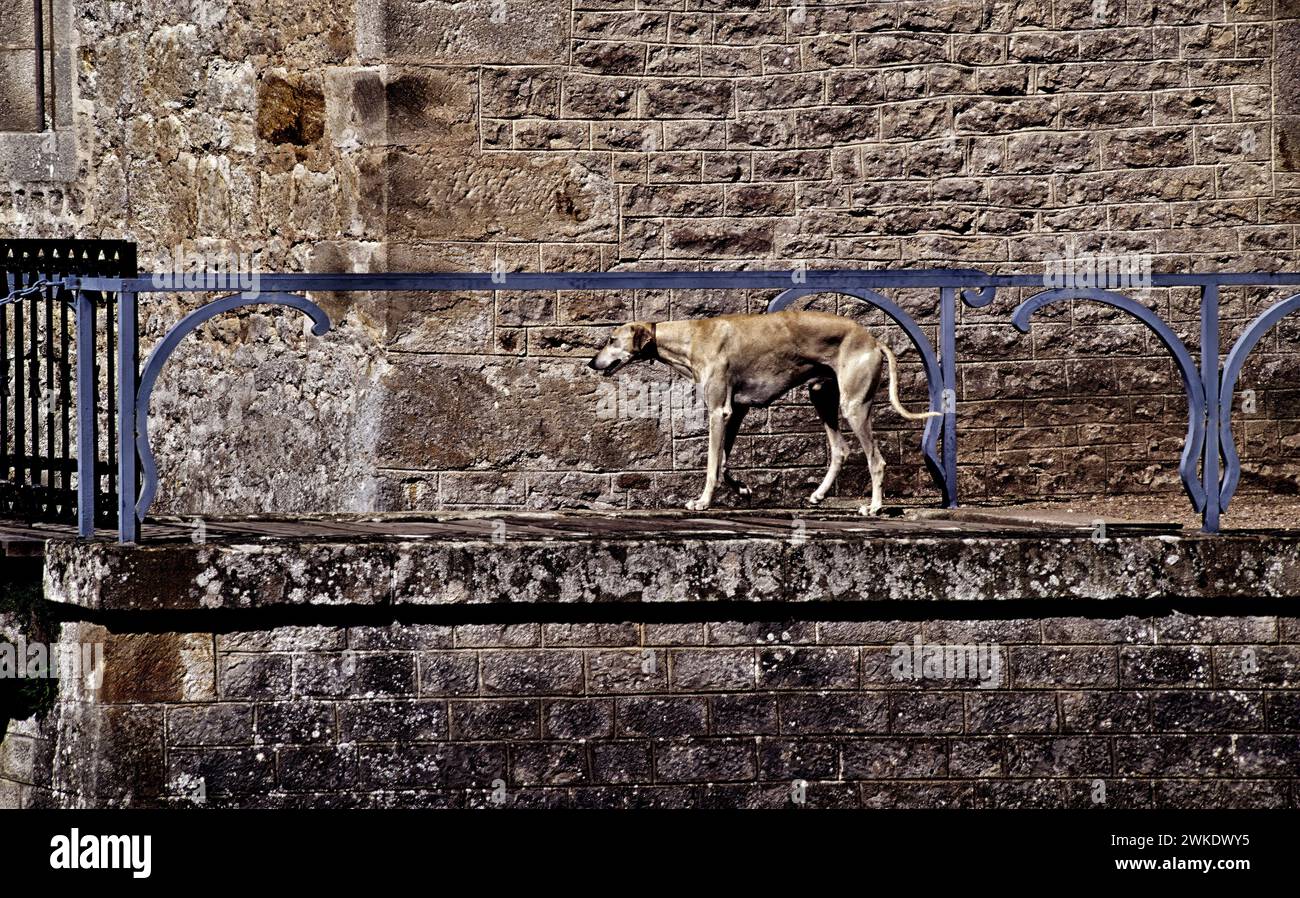 Guardian of castles hi-res stock photography and images - Alamy