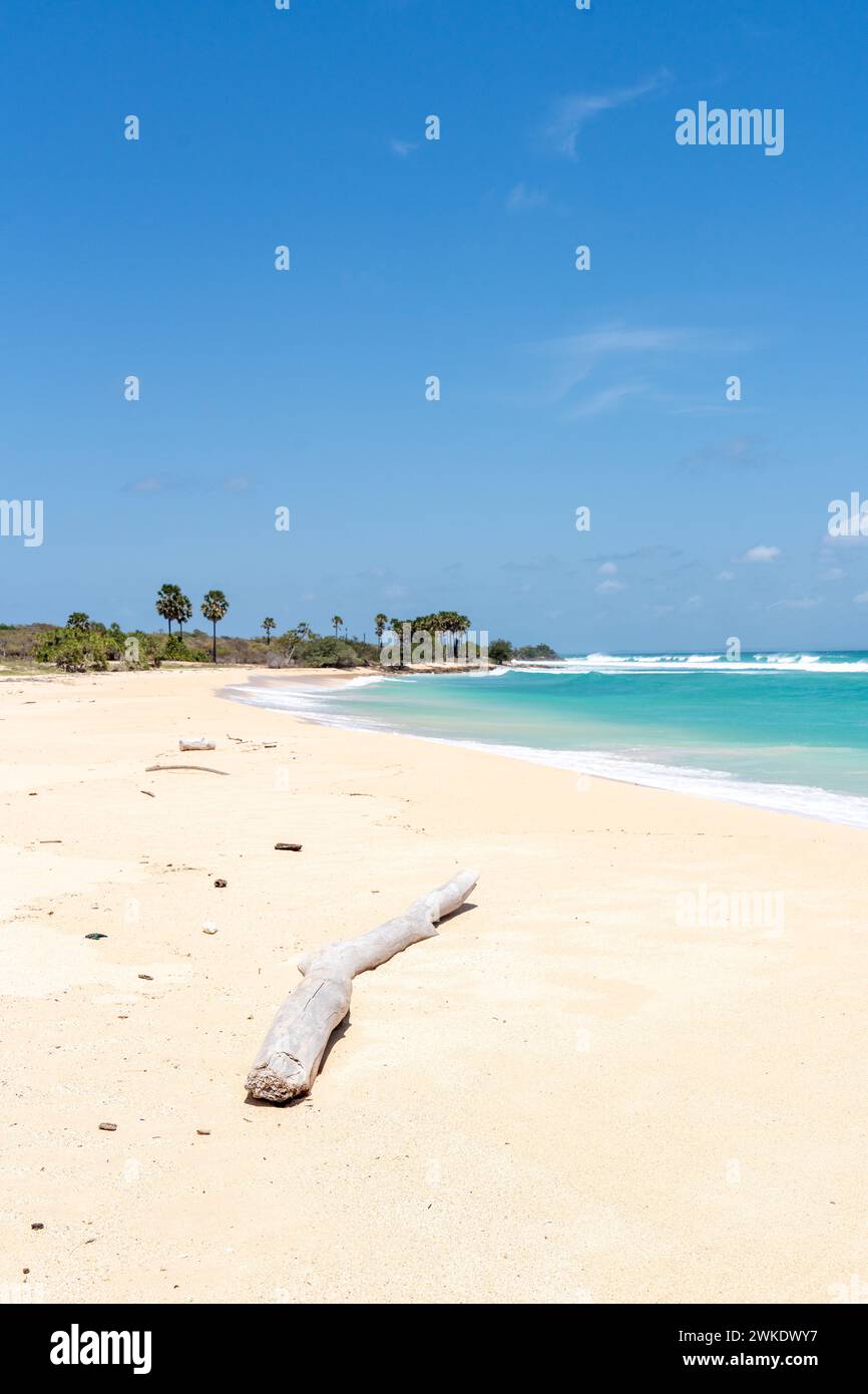 Semau island hi-res stock photography and images - Alamy