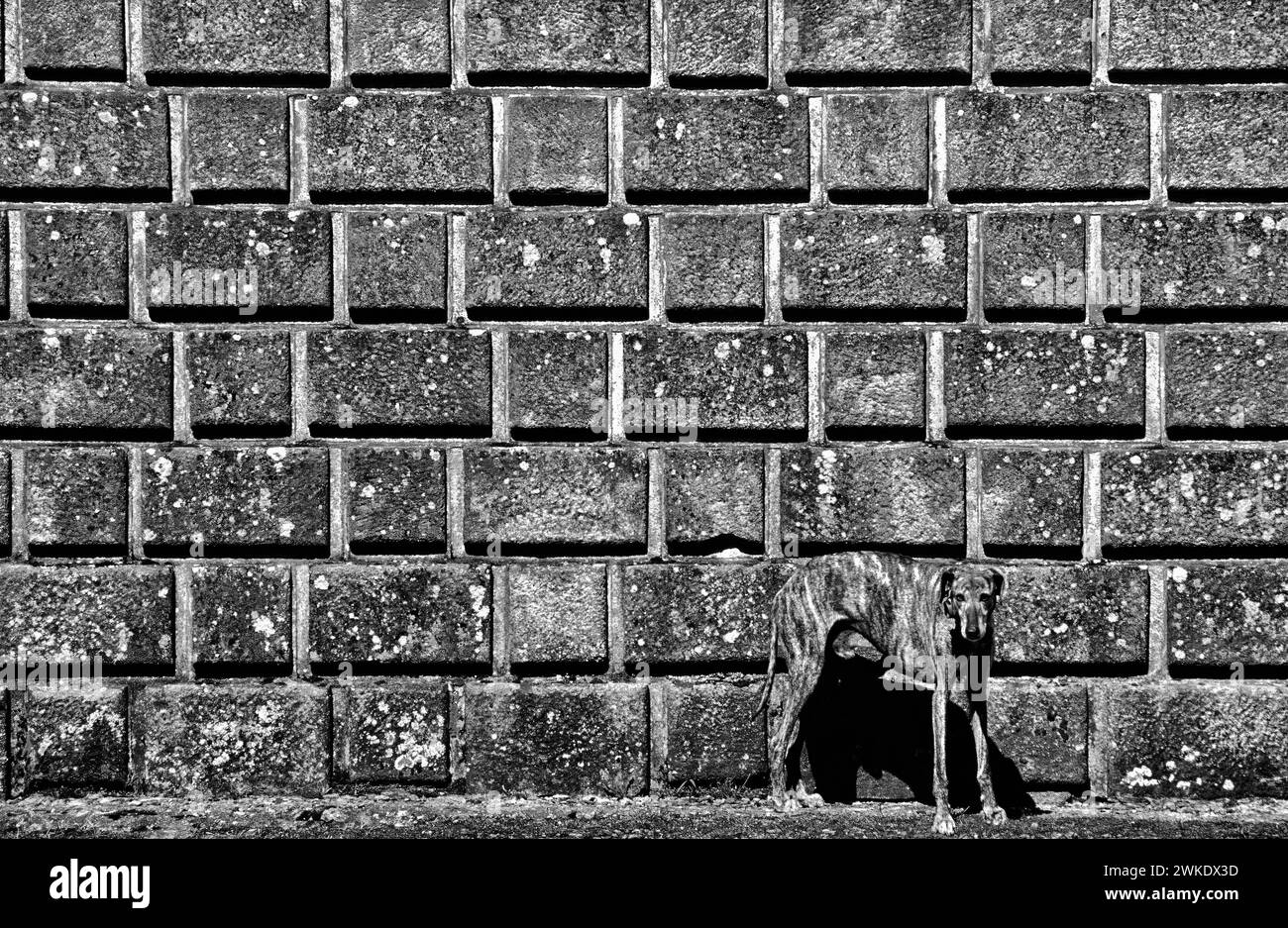 In front of it traditional houses Black and White Stock Photos & Images ...