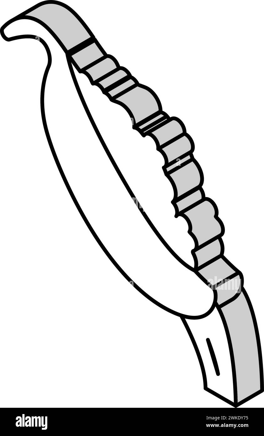 Washer Rice Isometric Icon Vector Illustration Stock Vector Image And Art Alamy