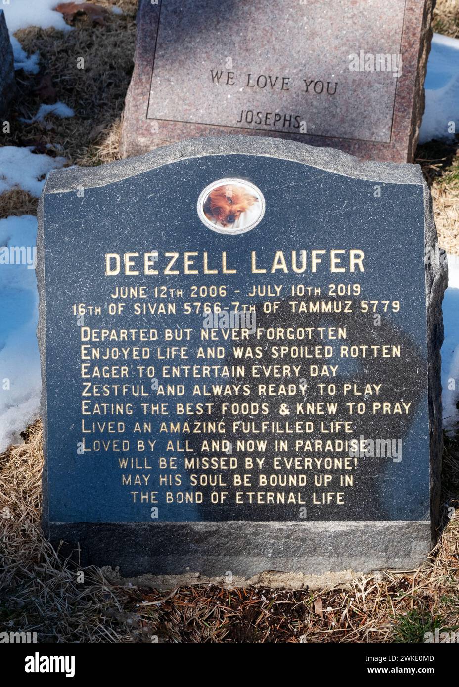 A headstone to Deezell Laufer, a Yorkie, which includes a poem and ...