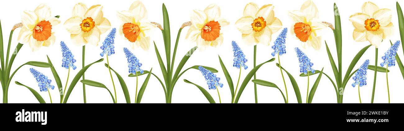 Floral seamless border with spring flowers blue hyacinth and daffodils ...
