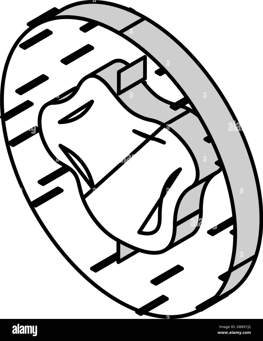 asymmetrical mole melanoma isometric icon vector illustration Stock ...