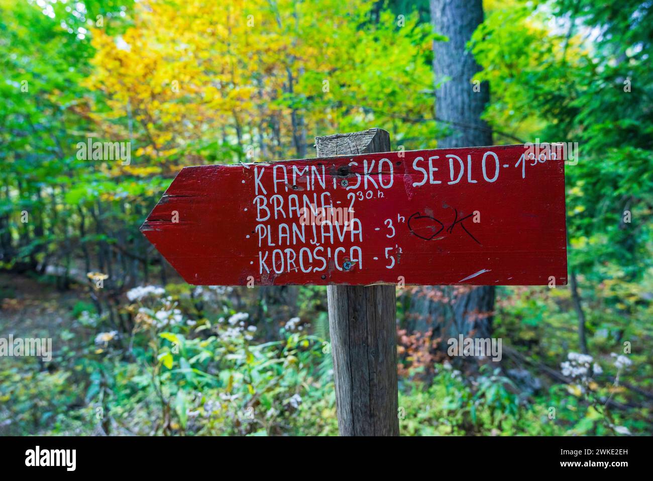 Legal panel hi-res stock photography and images - Alamy