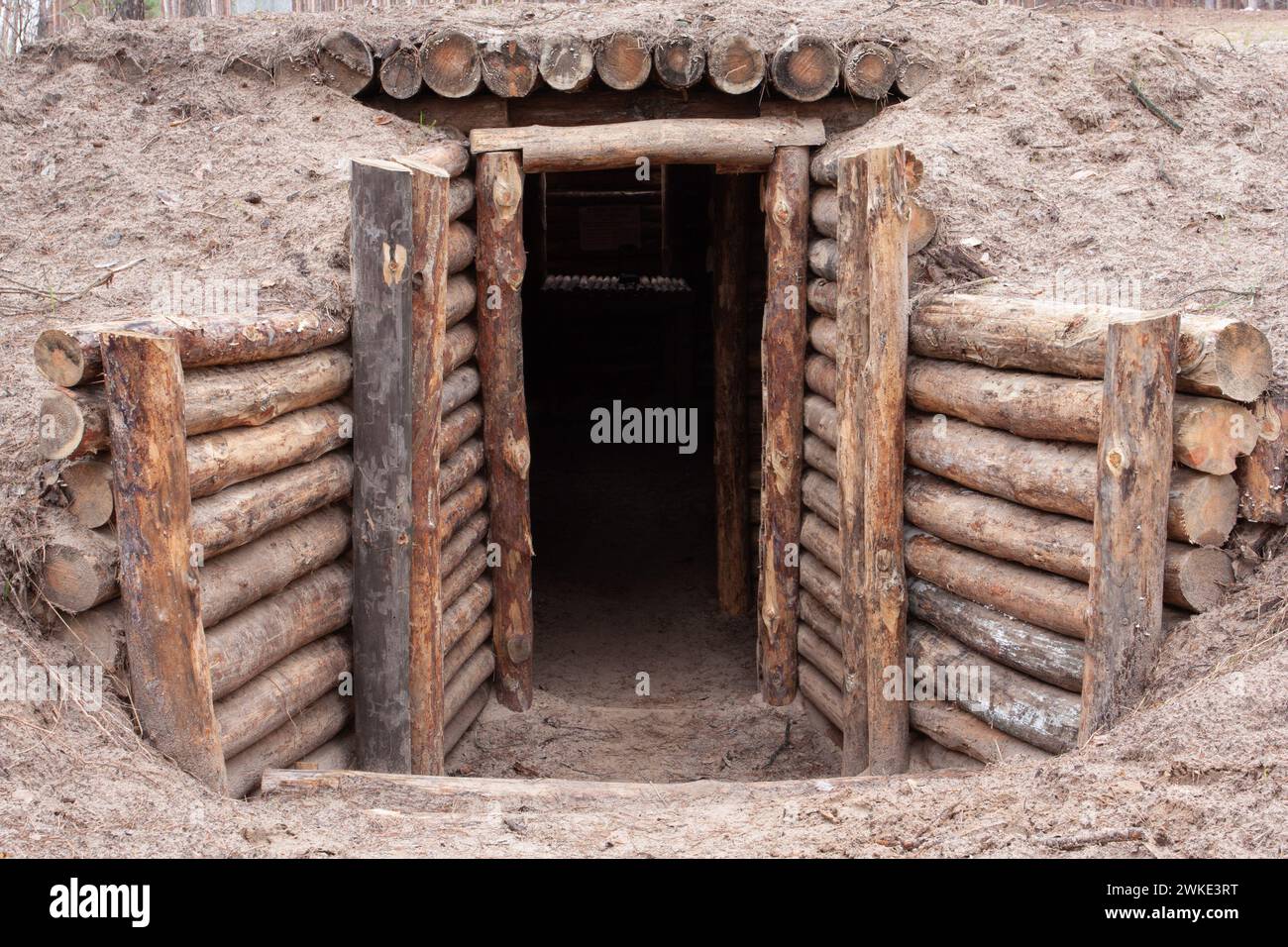 entrance to military dugout in the forest Stock Photo - Alamy