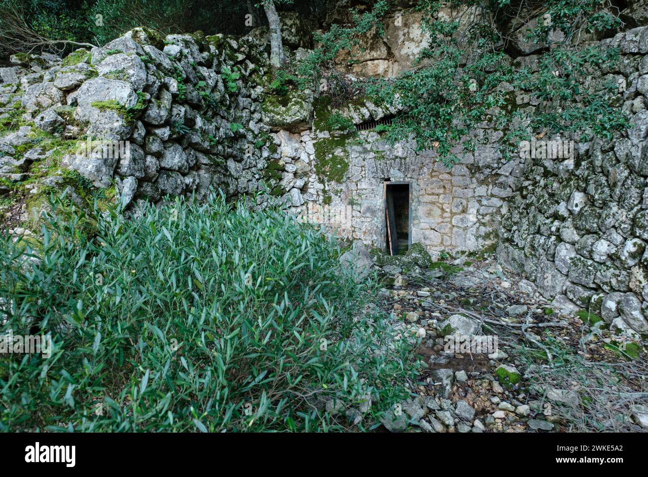 Las cordilleras hi-res stock photography and images - Alamy