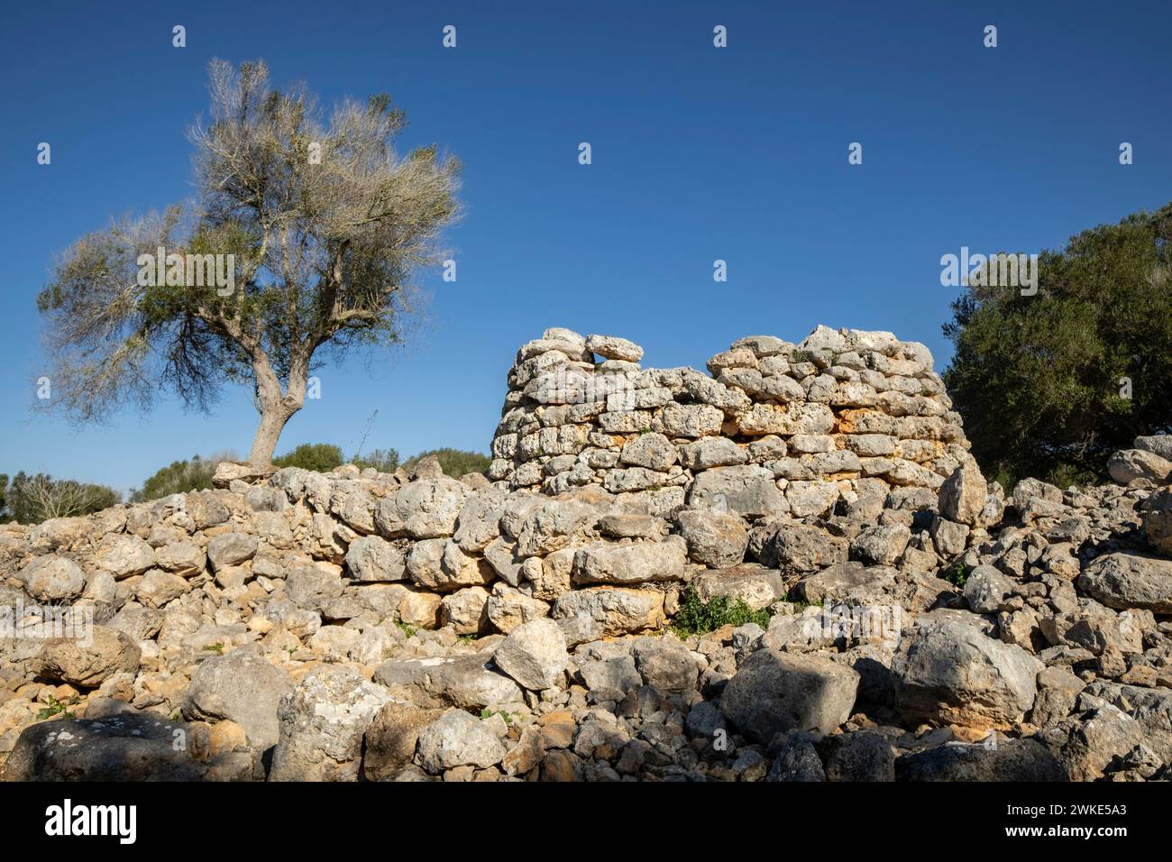 Monumento monumentos monumentales hi-res stock photography and images ...