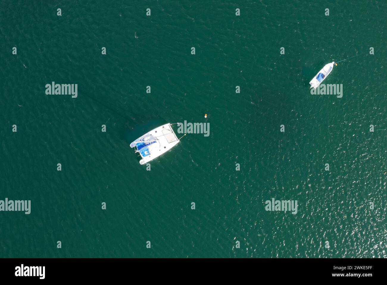 White small boats above top view on green water background Stock Photo ...