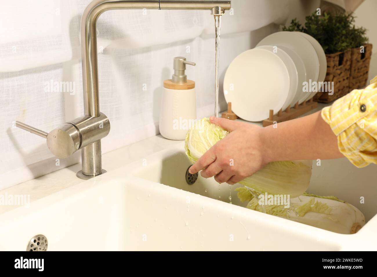 Woman washing fresh chinese cabbage under tap water in kitchen sink ...