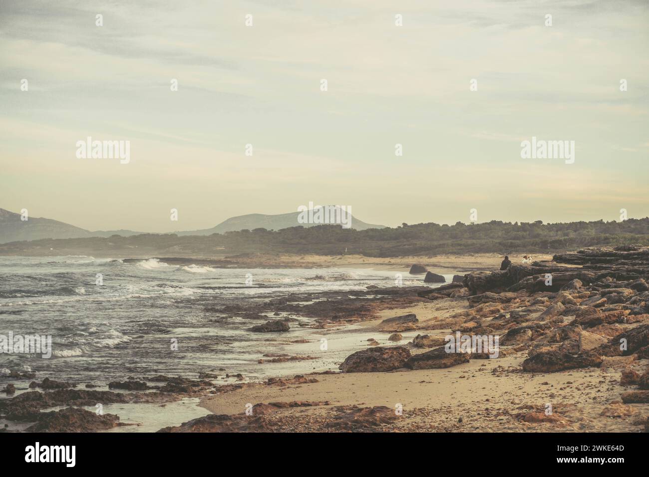 Landscape Sea Sandy Beach Stock Photo - Alamy