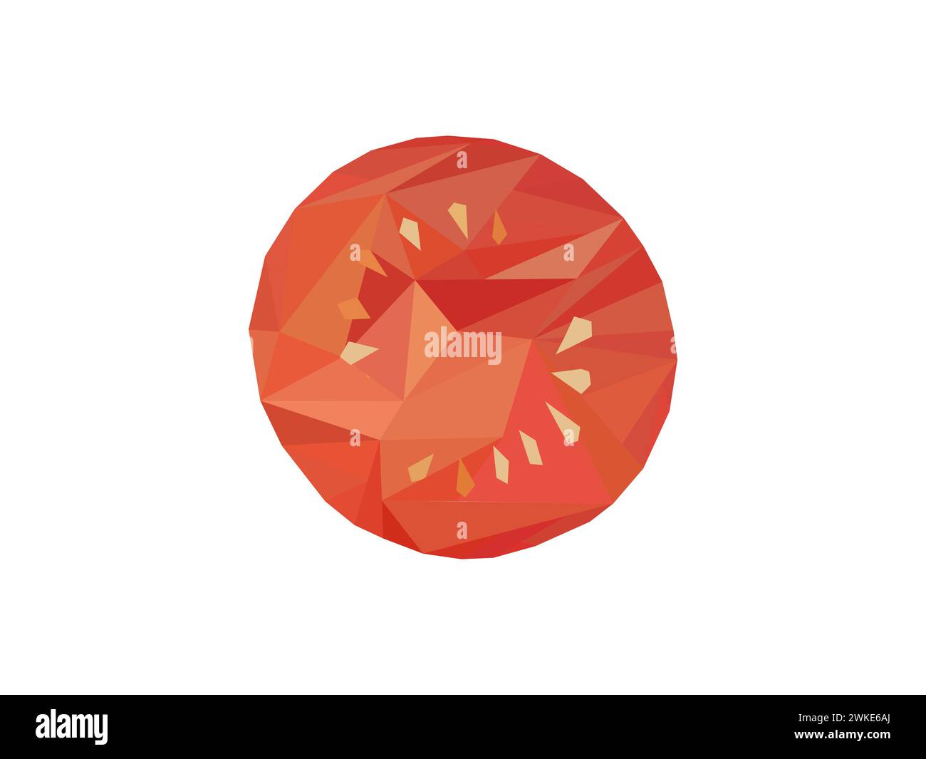 Inside of a tomato Stock Vector Images - Alamy