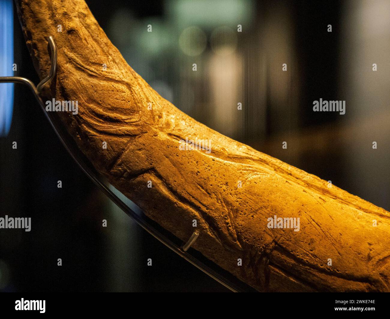 staff from El Castillo, engraving of a deer on a staff pierced and ...