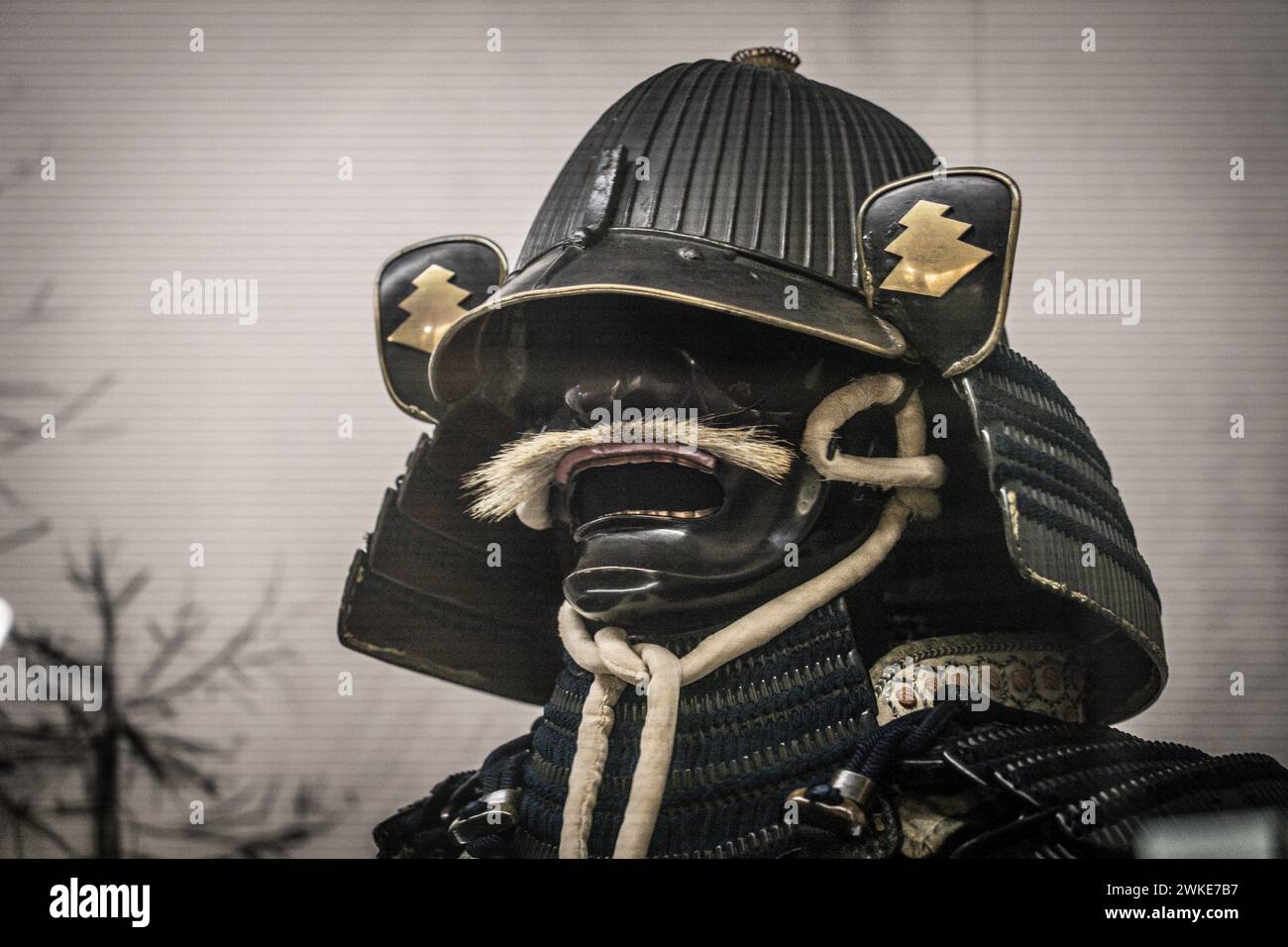 samurai armor, Do-Maru type, Edo period, 19th century, Álava Armory ...