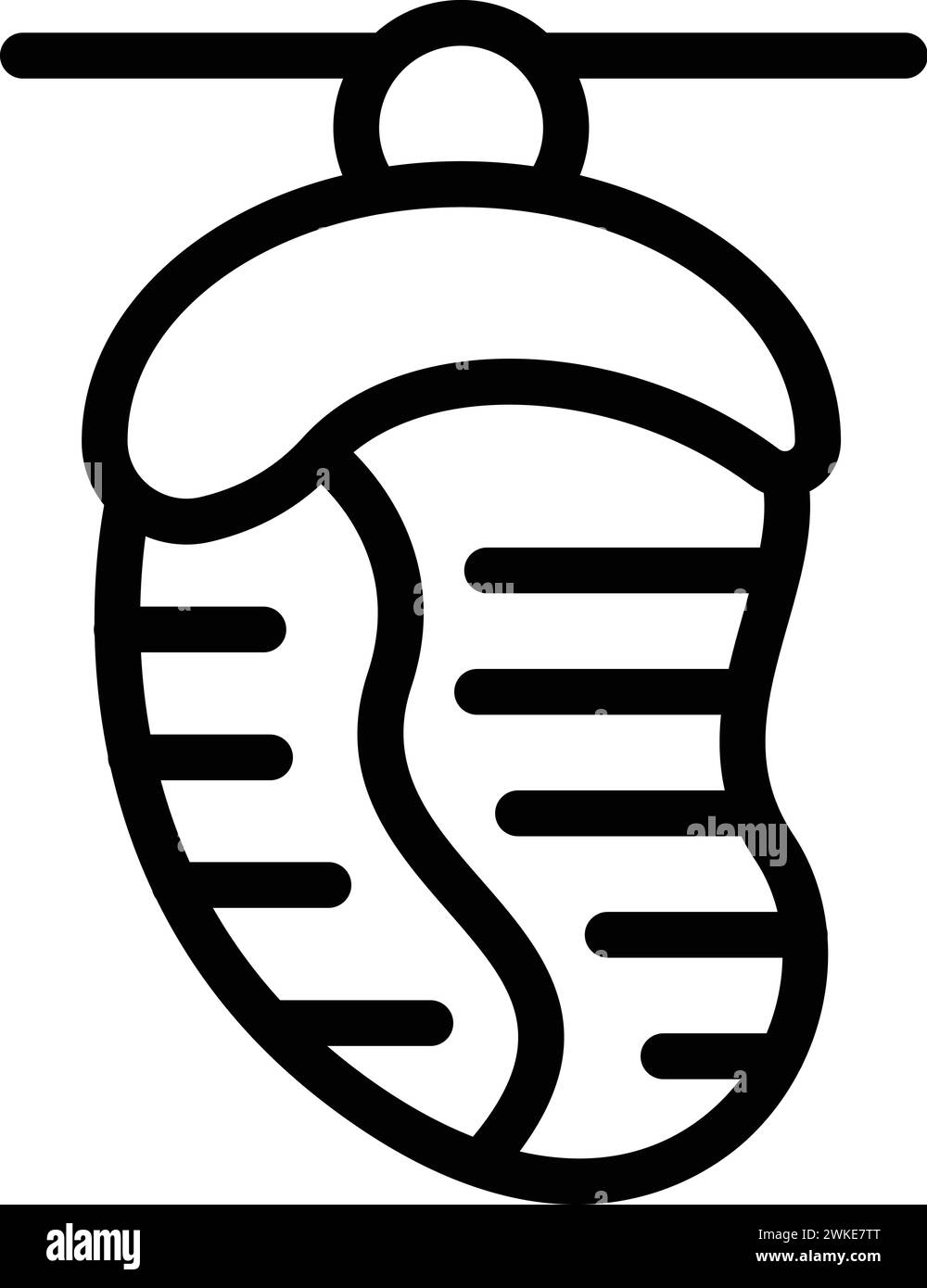 Cocoon maturation icon outline vector. Biology cocooning stage ...