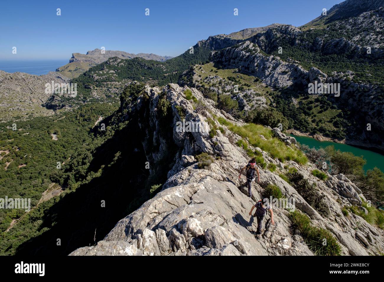 Relieve de piedra caliza hi-res stock photography and images - Alamy