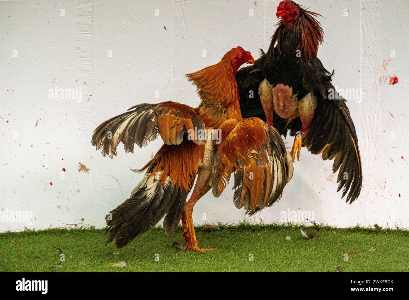 Gallos islands hi-res stock photography and images - Alamy