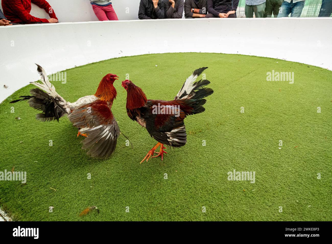 Gallos islands hi-res stock photography and images - Alamy