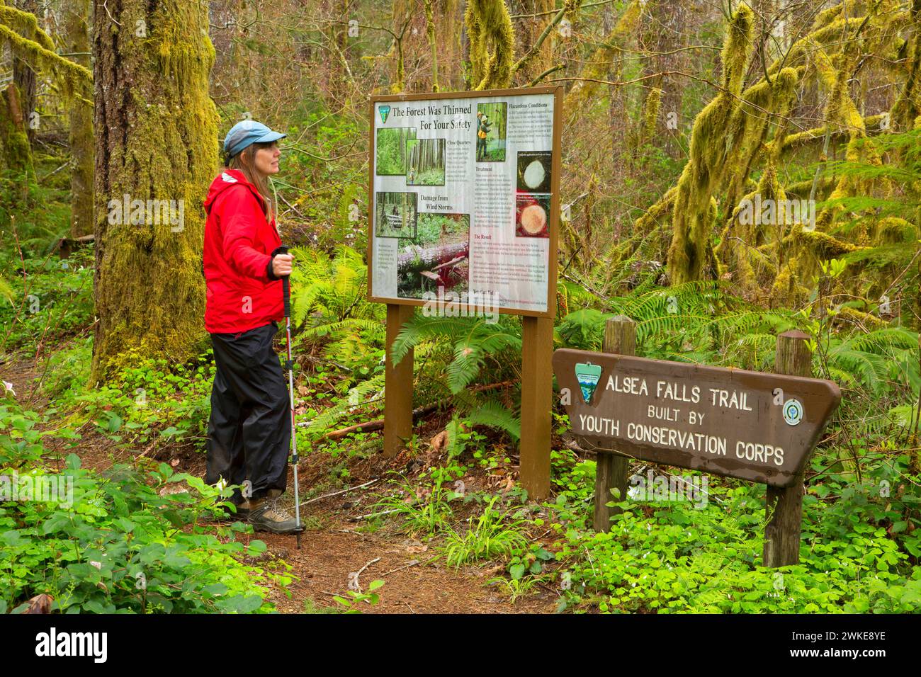 Alsea Falls Trail trailhead at campground, Alsea Falls Recreation Site ...