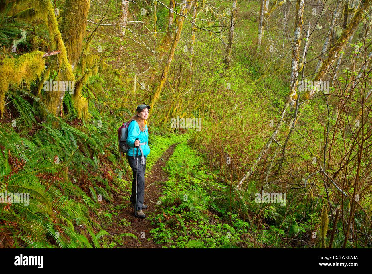 Battle lake trail hi-res stock photography and images - Alamy