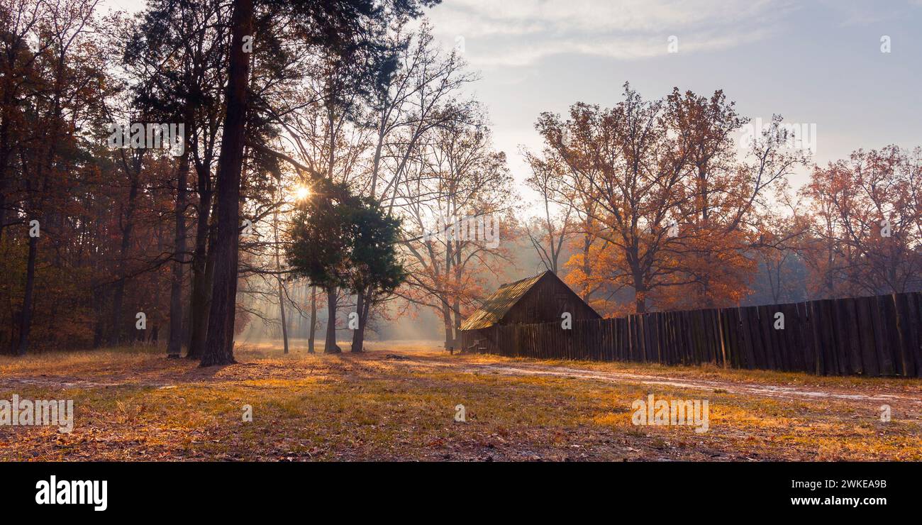 Beautiful autumn morning in the forest at dawn. In the forest stands a ...