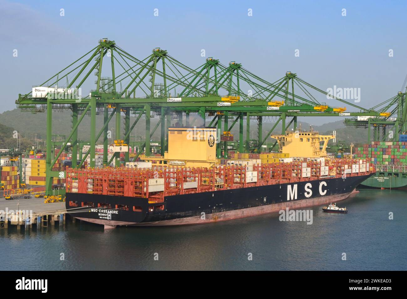 Panama City, Panama - 23 January 2024: Cranes unloading a container ...