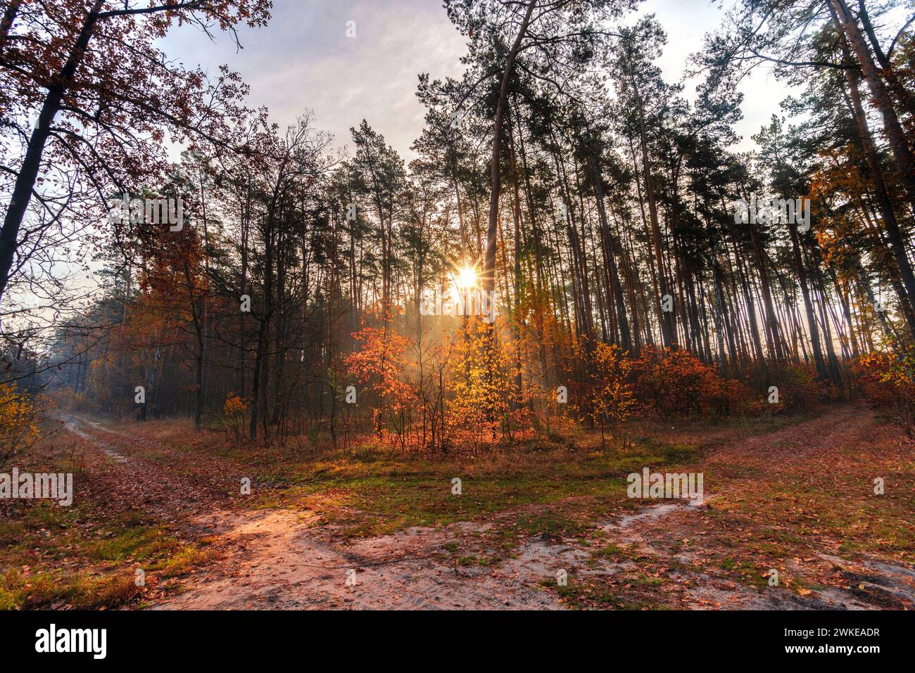 Dawn sunlight trail hi-res stock photography and images - Alamy