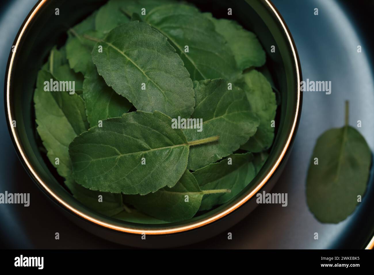The holy basil leaves in a blue bowl Stock Photo - Alamy