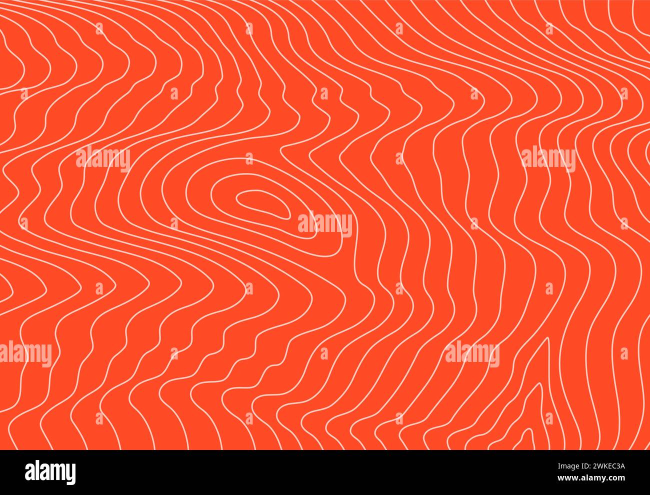 Salmon fish red meat pattern background. Vector food texture of seafood ...