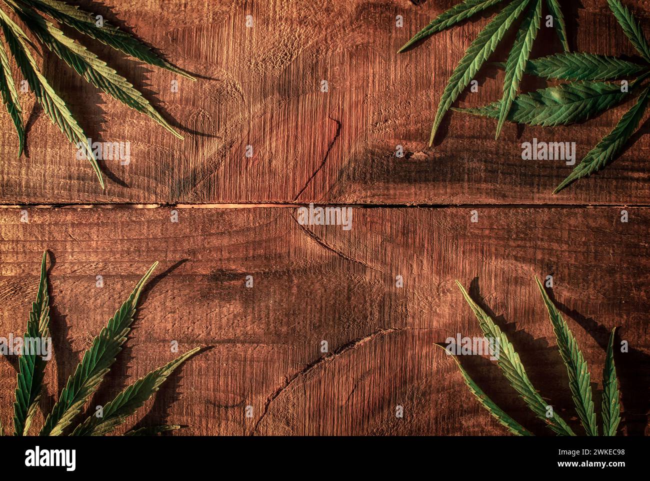Weed texture background hi-res stock photography and images - Alamy