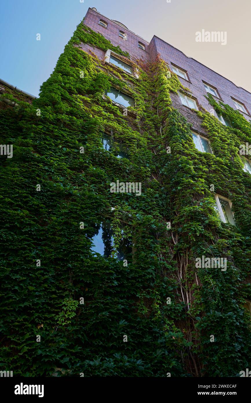 Ivy covered balcony hi-res stock photography and images - Alamy