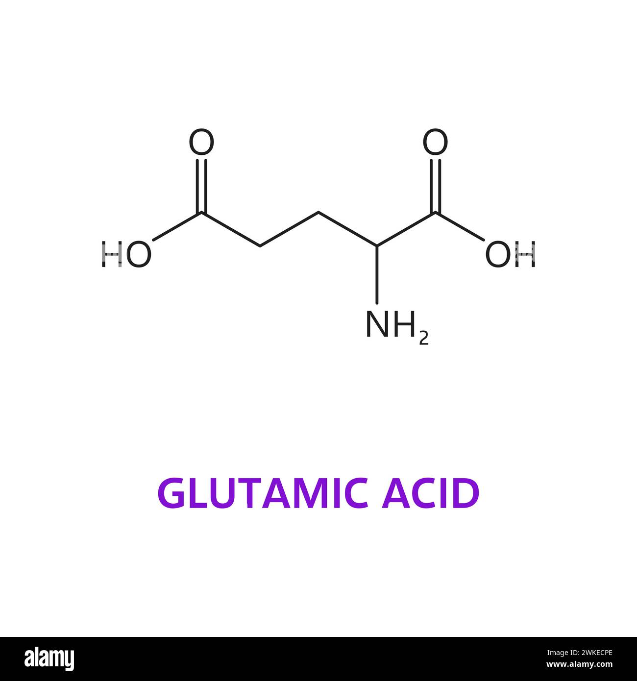 Neurotransmitter, glutamic acid chemical formula and molecular structure, vector molecule ...