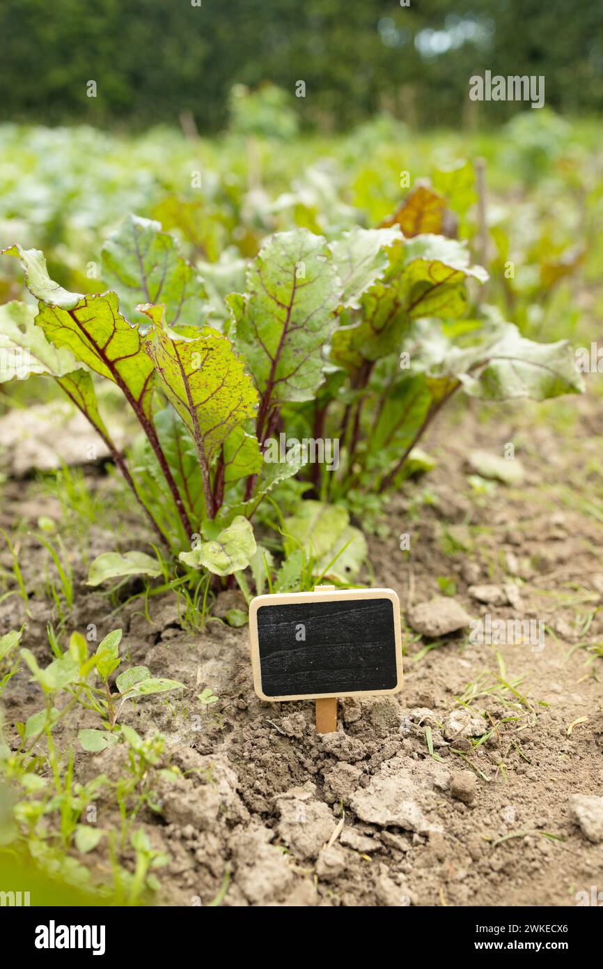 Black blank billboard against green field landscape. Empty mockup ...